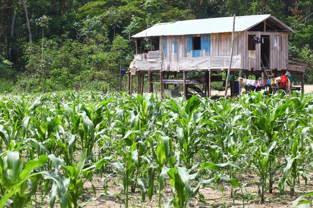 chacra de la garganta Ventajas al comprar en LIBRERIAESOTERICA.NET