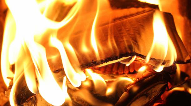 quemar ruda seca Consejos al comprar en LIBRERIAESOTERICA.NET